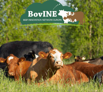 Join BovINE at our final dissemination conference - "Evidence from ...