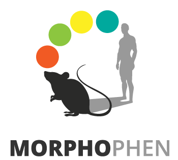 Erasmus Mundus Joint Master - MorphoPHEN | REGISTRATIONS NOW OPEN