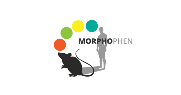 Erasmus Mundus Joint Master in Human Diseases Models Morphological Phenotyping - MorphoPHEN
